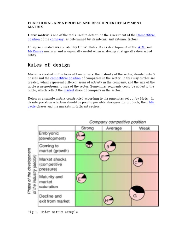 Hofer Matrix | PDF | Business