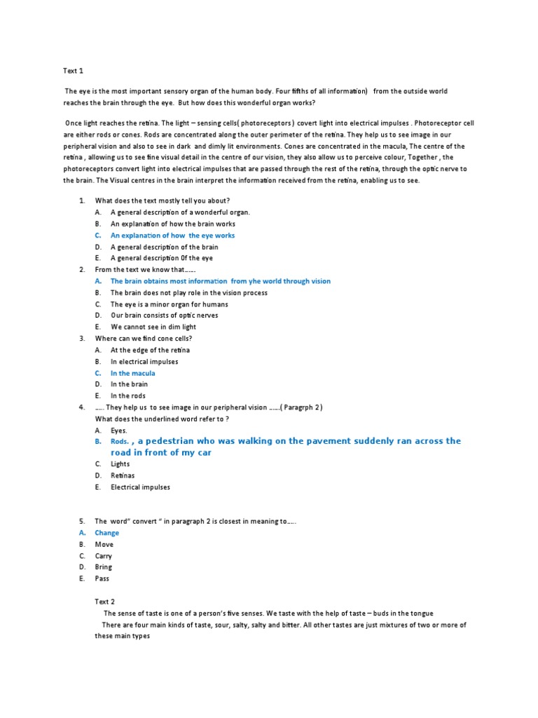 Explanation Exercise | PDF | Retina | Eye