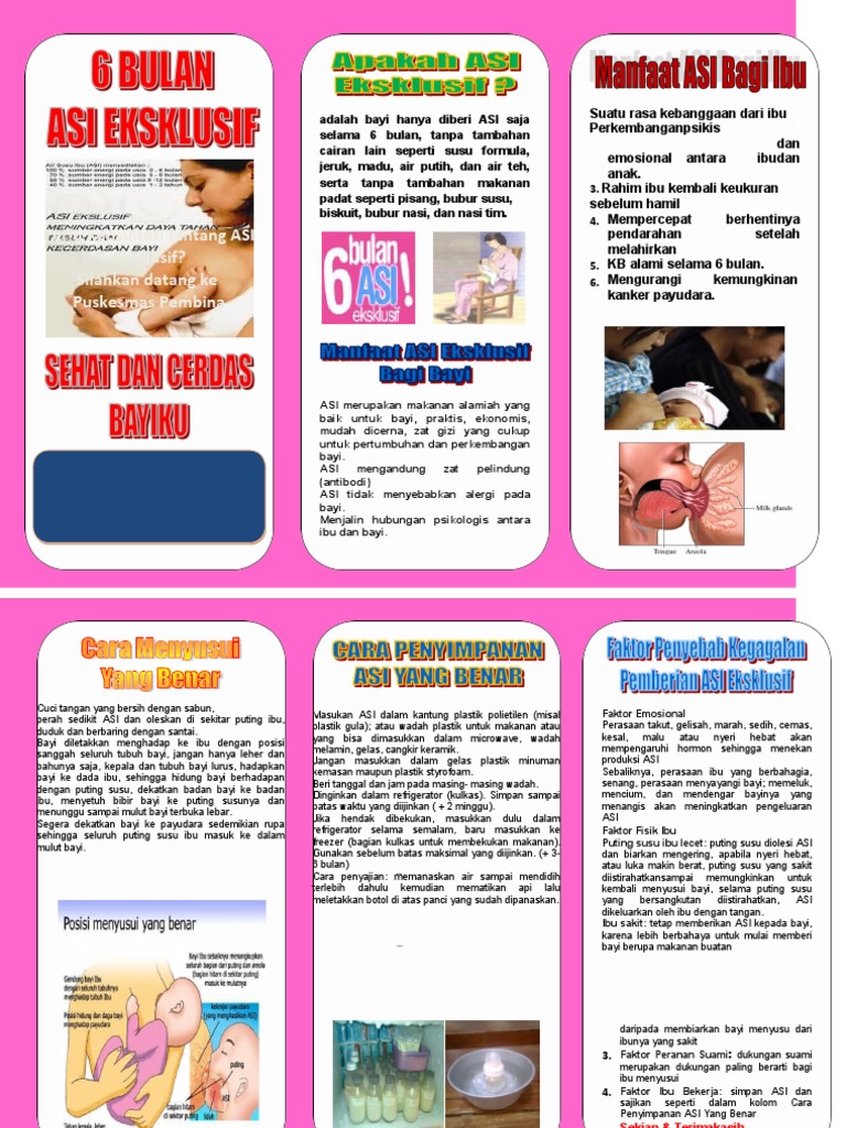 Pamflet ASI Eksklusif | PDF