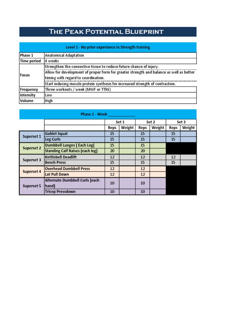 Level 1 - Phase 1 | PDF