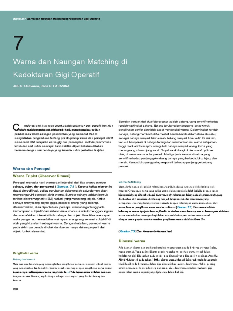 NRL Shade Guide Indo | PDF