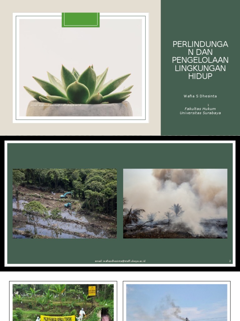 Perlindungan Dan Pengelolaan Lingkungan Hidup | PDF