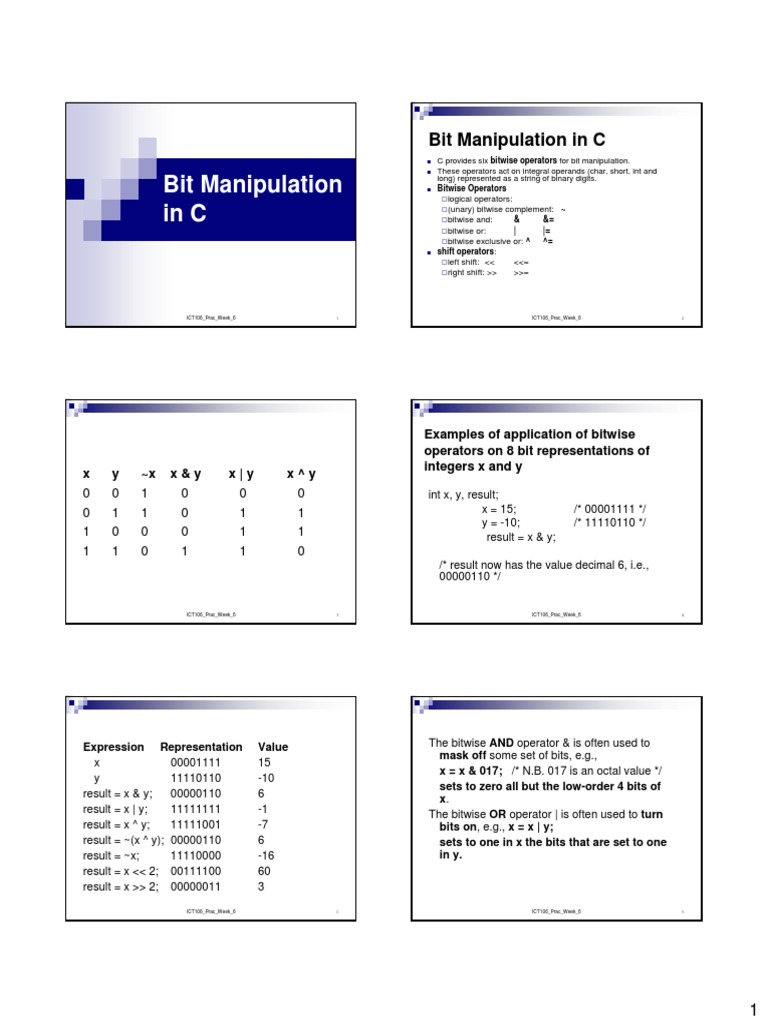 Bit Manipulation | PDF | Theoretical Computer Science | Numbers