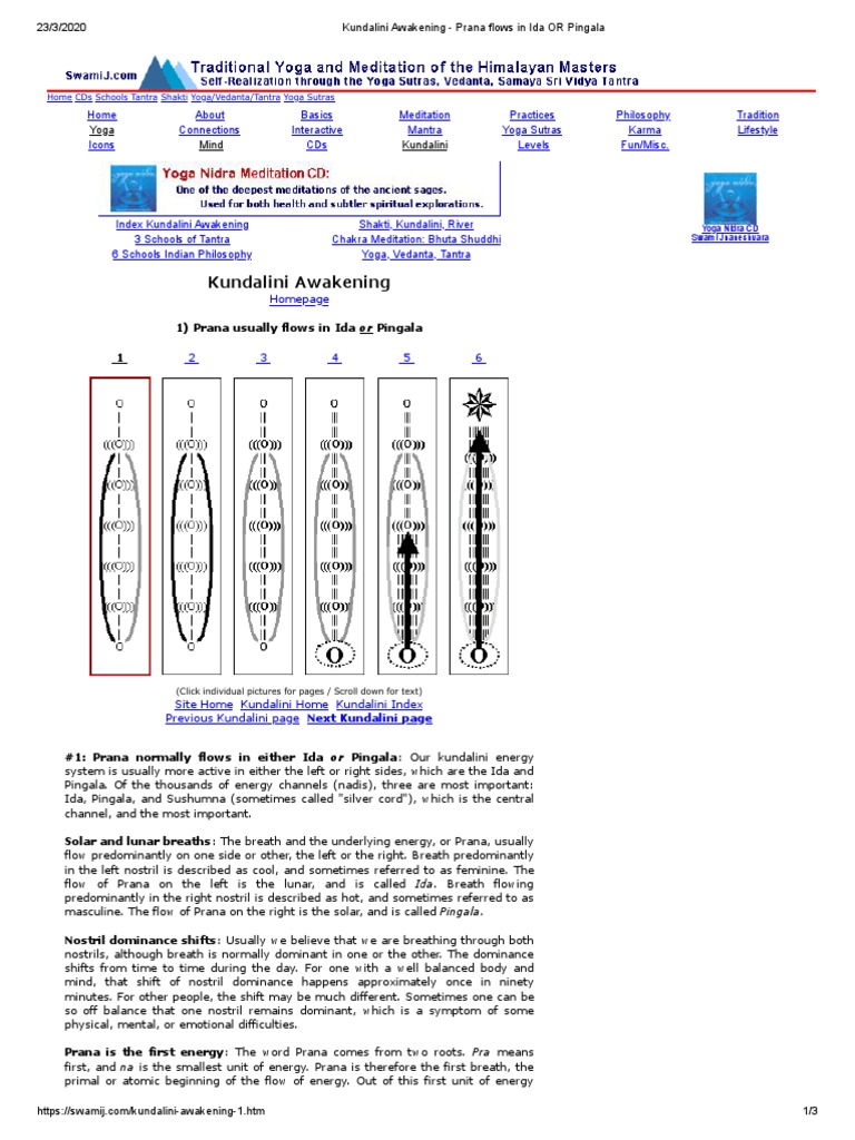 Ida and Pingala: Energy Flow in Kundalini | PDF | Prana | Kundalini