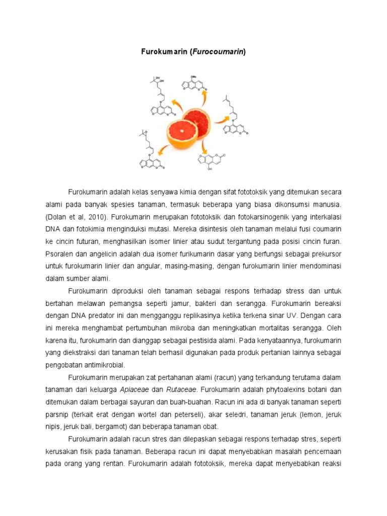Furokumarin (Furocoumarin) | PDF