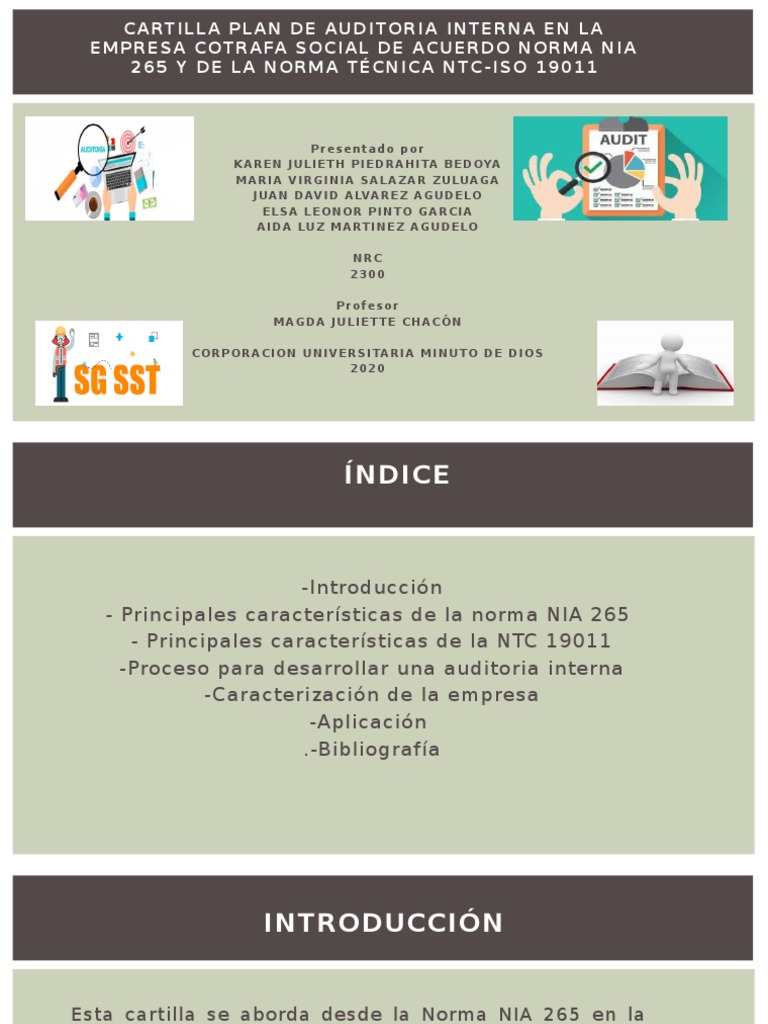 Cartilla Plan de Auditoria Interna NIA 265 Y NTC-ISO 19011 COMPLETA ...