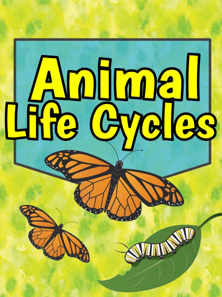 Animal Life Cycles | PDF | Coral Reef | Amphibian