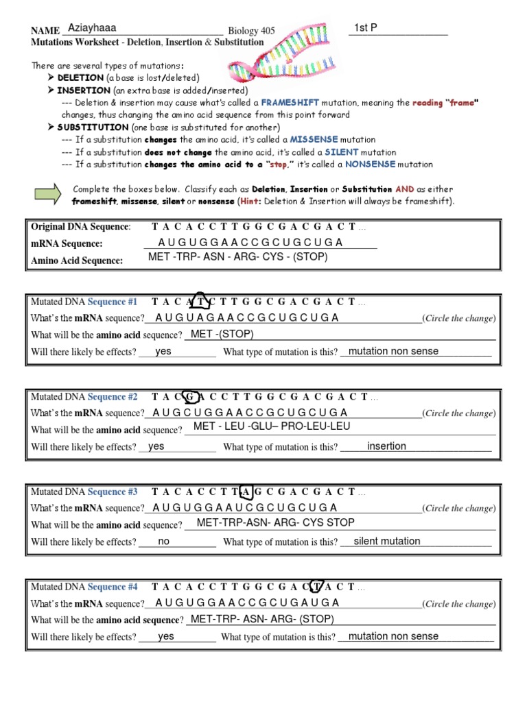 Mutations Worksheet: Types & Analysis | PDF | Point Mutation | Hemoglobin