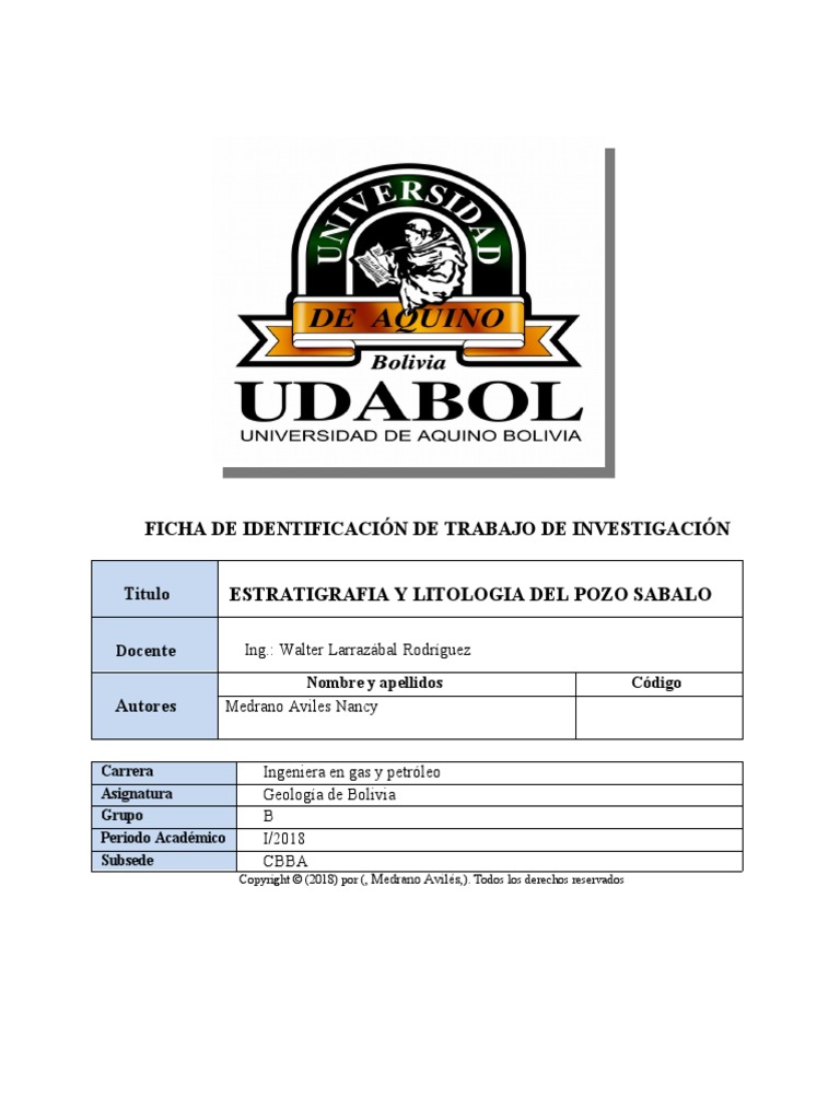 Estrat Pozo | PDF | Petróleo | Geología