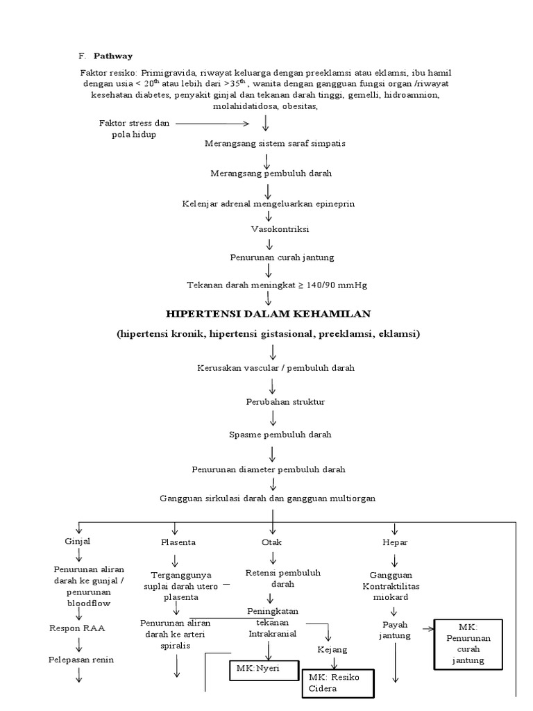 Pathway Hipertensi Pada Ibu Hamil | PDF