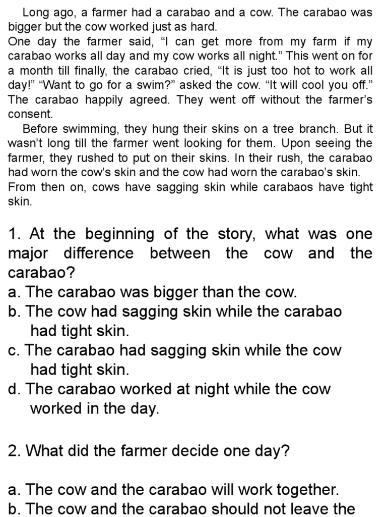 Grade 5 Reading | PDF