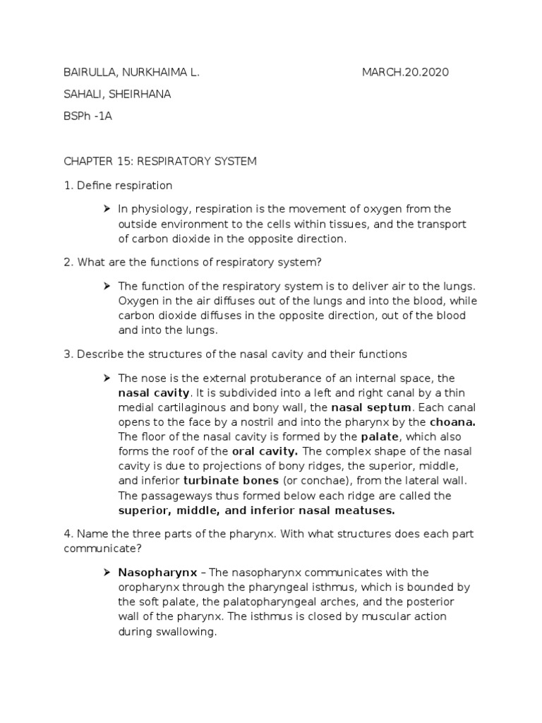 Human Anatomy Reading Comprehension | PDF | Larynx | Lung