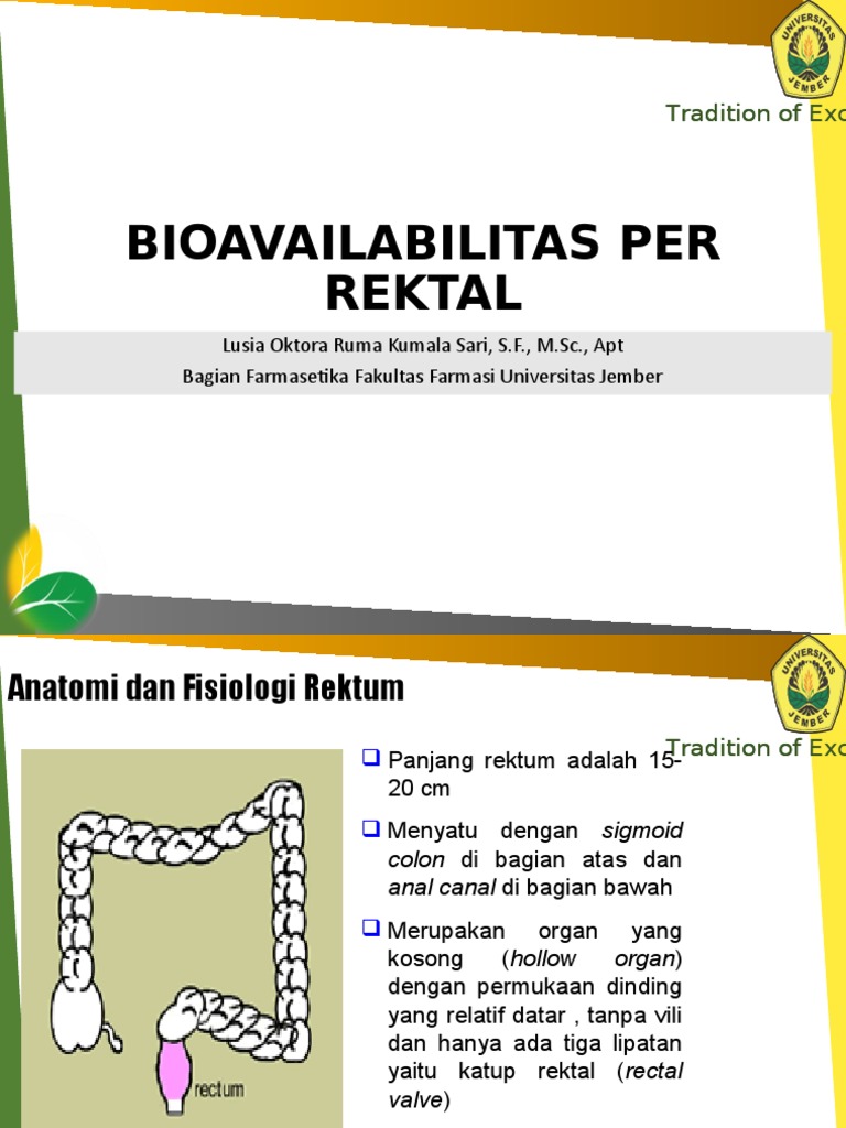 Bioavailabilitas Per Rektal Rev | PDF