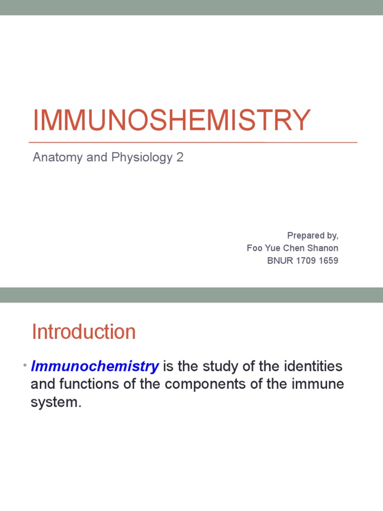 Immunochemistry | PDF | Adaptive Immune System | Immune System