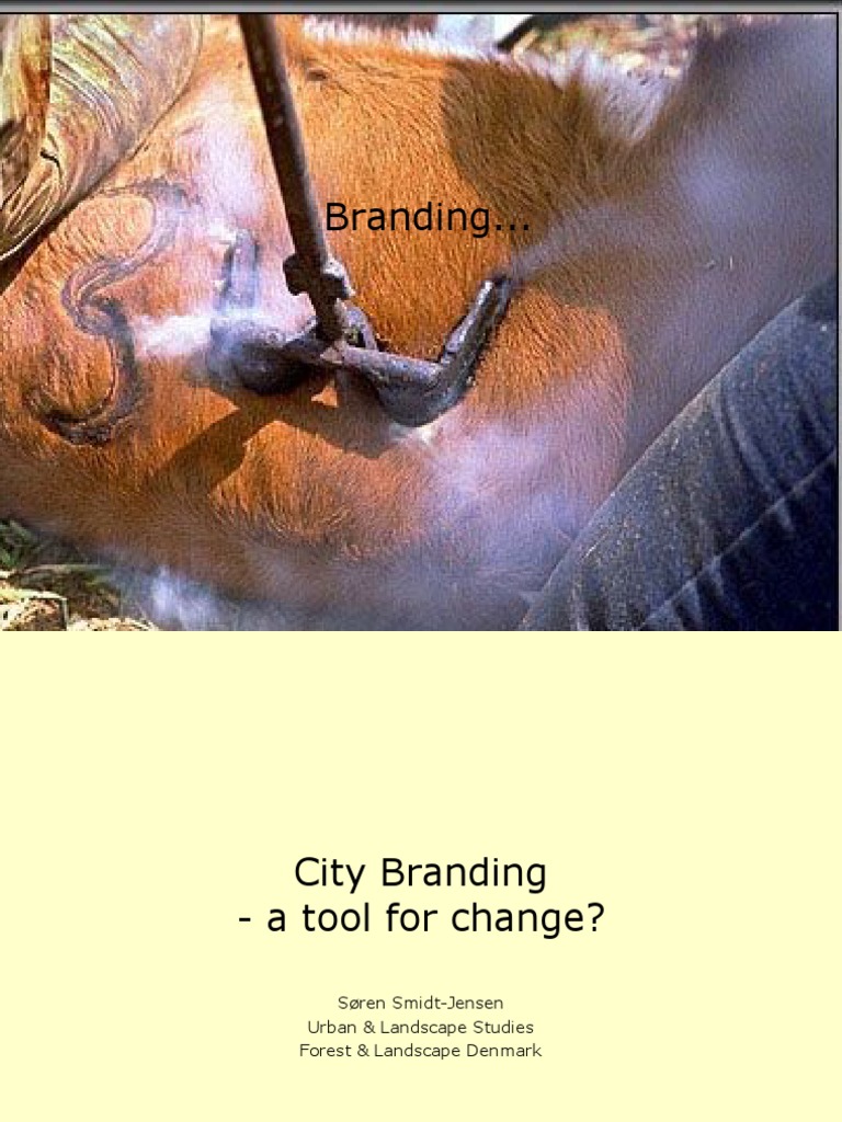 City Branding for Urban Change | PDF | Brand | Economies