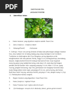 Daftar Nama Nama Simplisia 40 | PDF