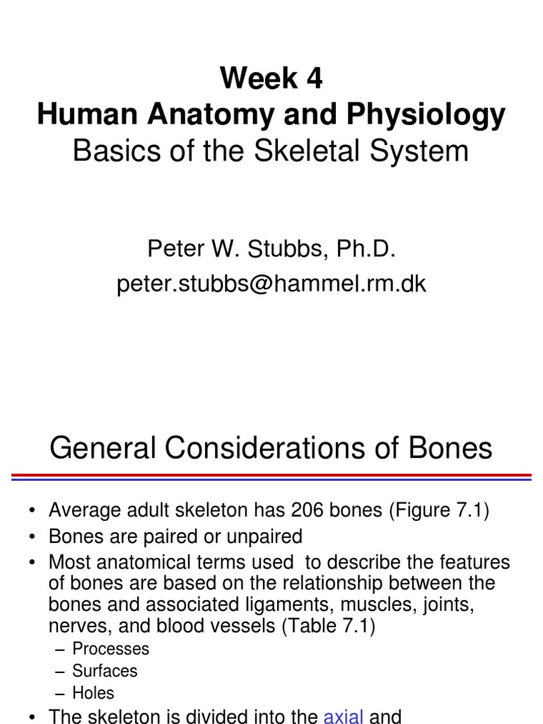 4.2 Human Anatomy and Physiology Basics-of-Skeletal-System | PDF ...