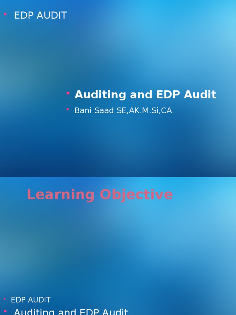 EDP Audit dan Jenis-jenisnya | PDF
