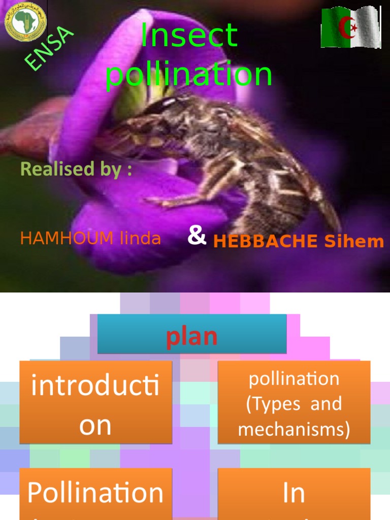 Insect Pollination in Agriculture | PDF | Pollinators | Pollination