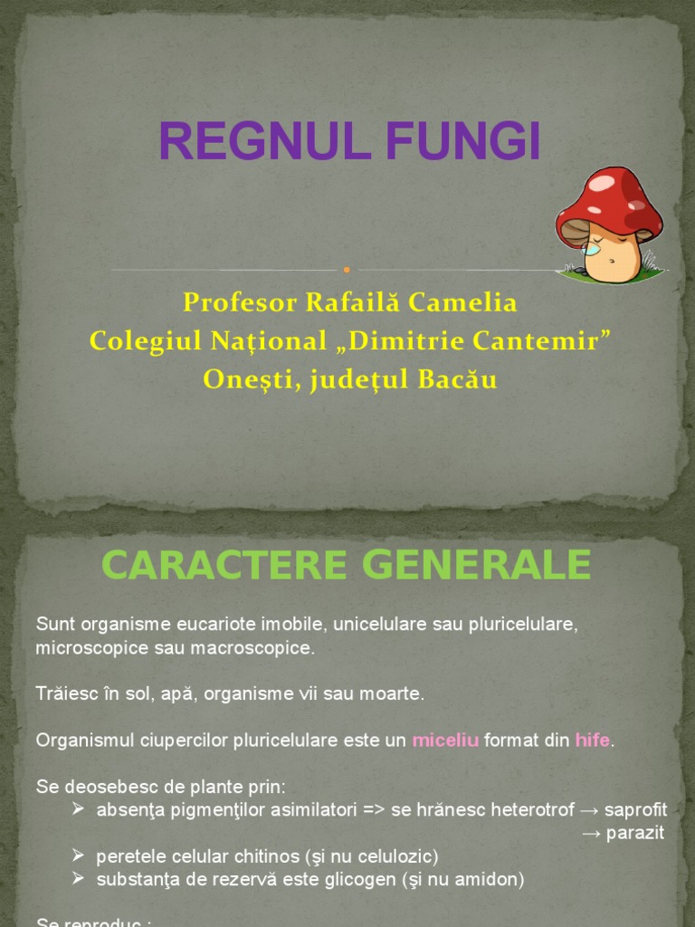 Regnul Fungi | PDF