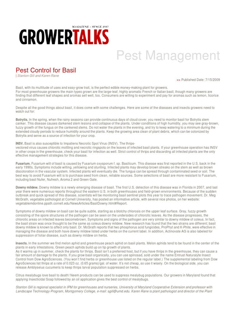 Basil Pest Control | PDF | Basil | Plants