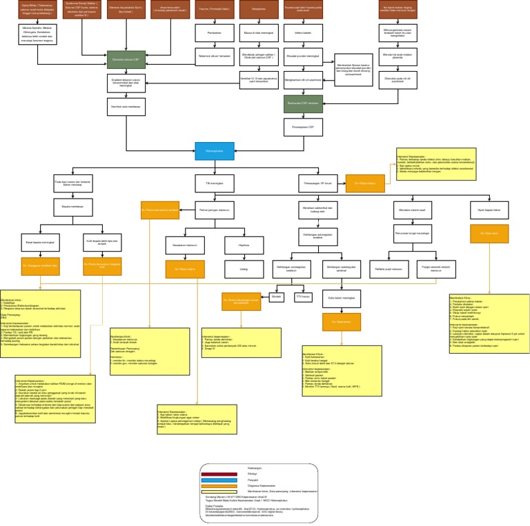 Woc Hidrocephalus | PDF