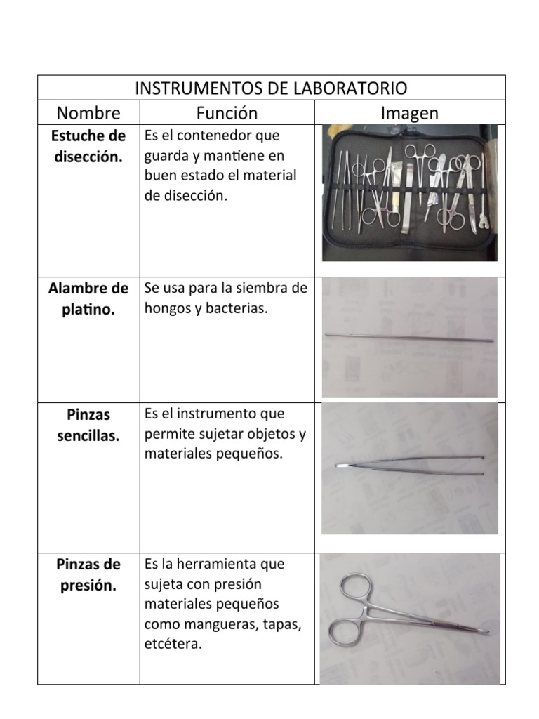 Instrumentos de laboratorio y su función | PDF | Lentes | Laboratorios