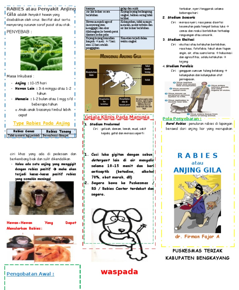 RAbies Pamflet | PDF