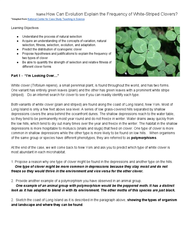 White-Striped Clover Evolution Study | PDF | Fitness (Biology) | Poaching