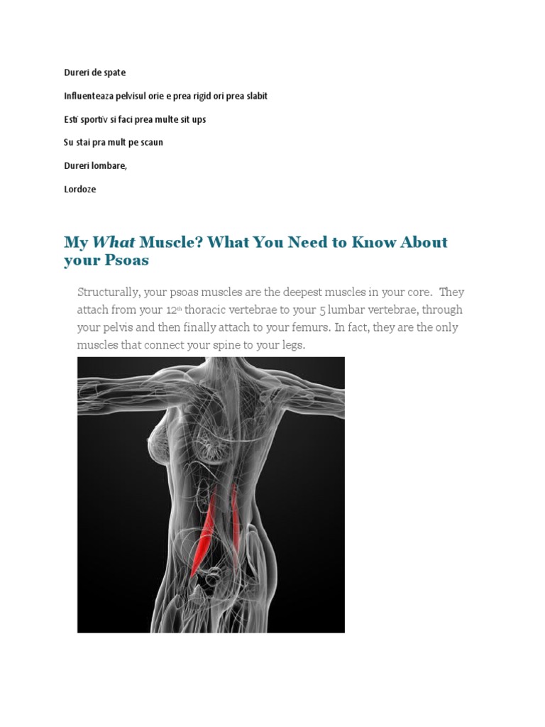 What You Need To Know About Your Psoas | PDF | Hip | Vertebral Column