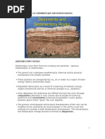 Sedimentary Rocks (Lecture Notes) | PDF | Sedimentary Rock | Shale