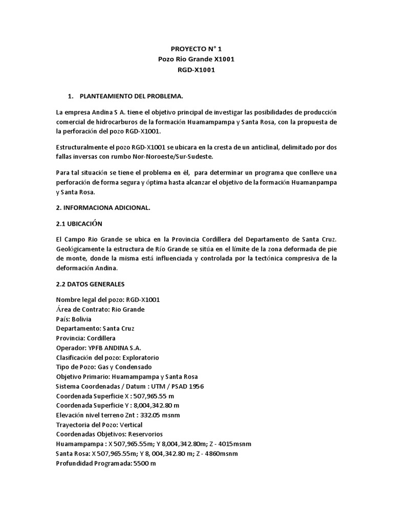 Perforación exploratoria del pozo RGD-X1001 en busca de reservorios de ...
