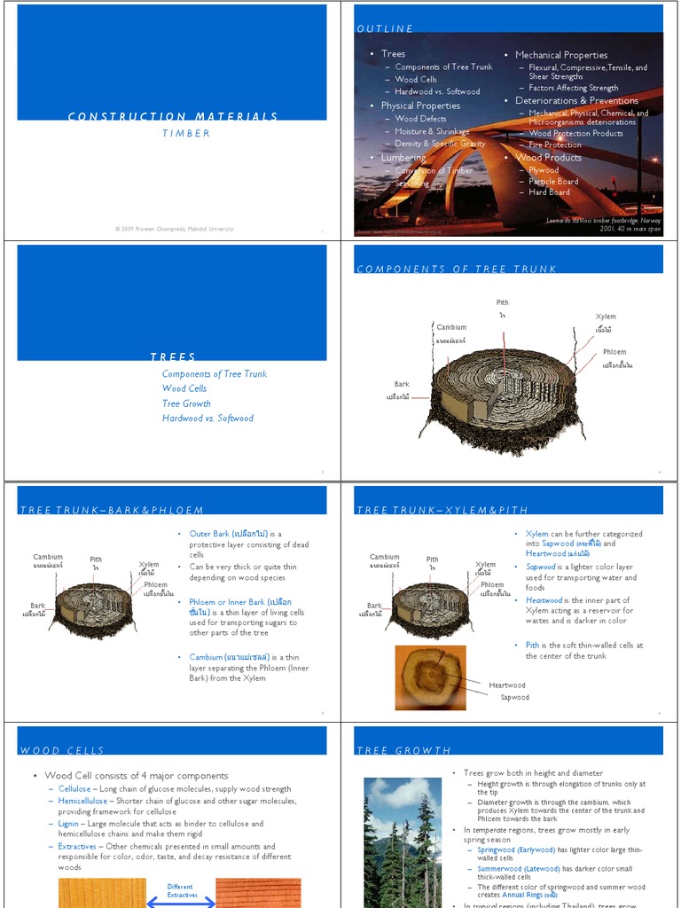 Construction Materials: Timber Timber | PDF | Wood | Lumber