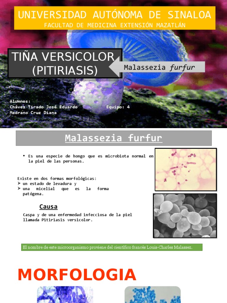 Tiña Versicolor | PDF | Epidemiología | Inmunología