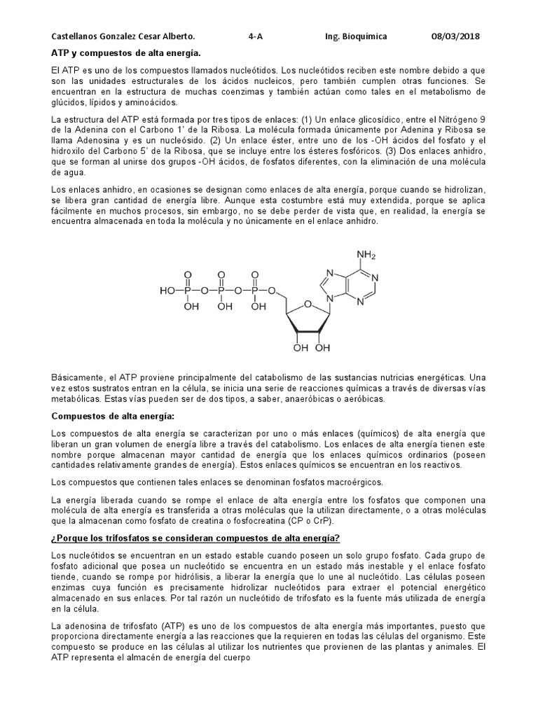 Enlaces de alta energía en el ATP | PDF | Trifosfato de adenosina ...