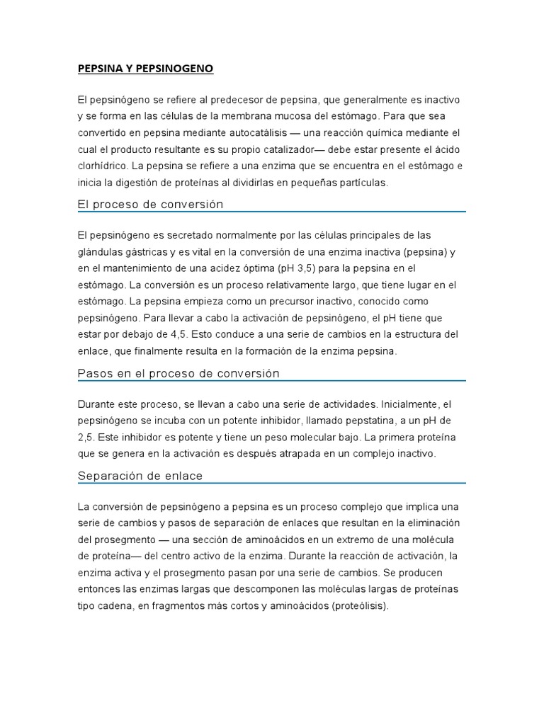 Pepsina y Pepsinogeno | PDF | Estómago | Digestión