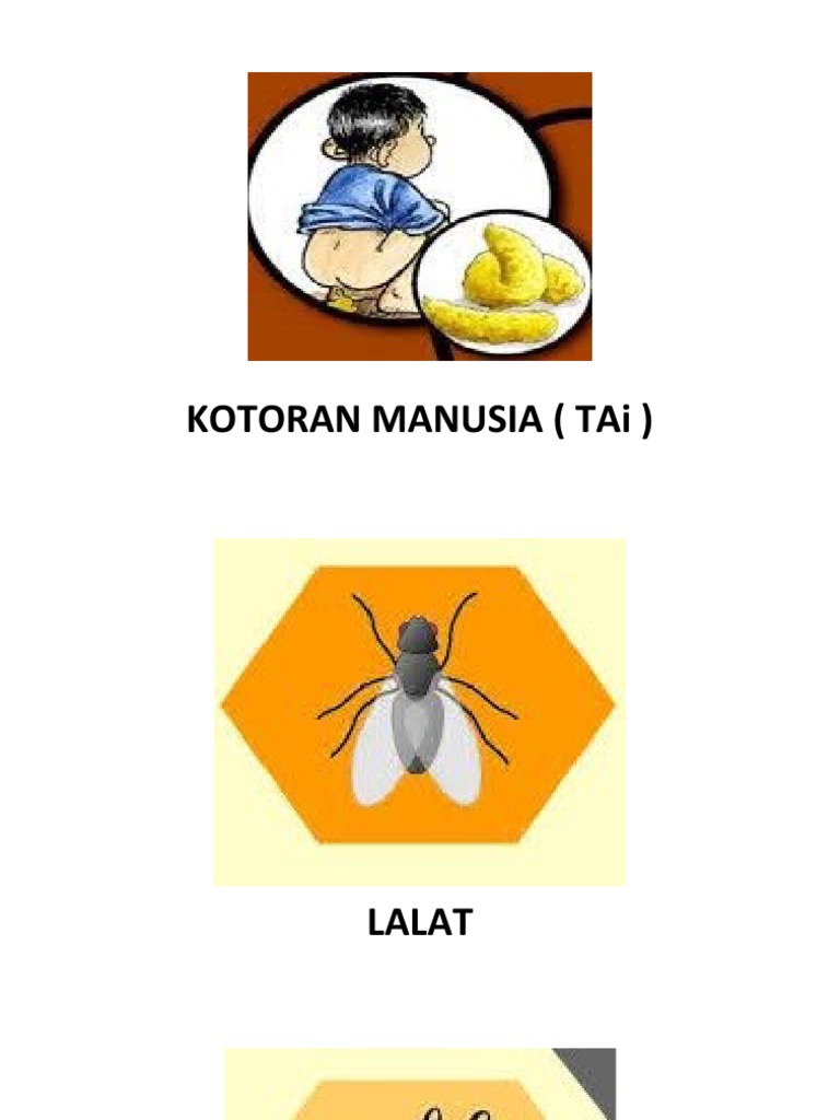 Gambar Peraga Pemicuan STBM Print | PDF