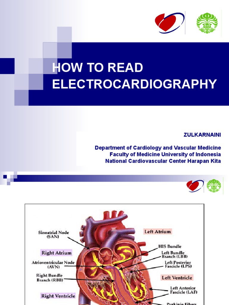 ECG Interpretation | PDF | Electrocardiography | Thorax (Human Anatomy)