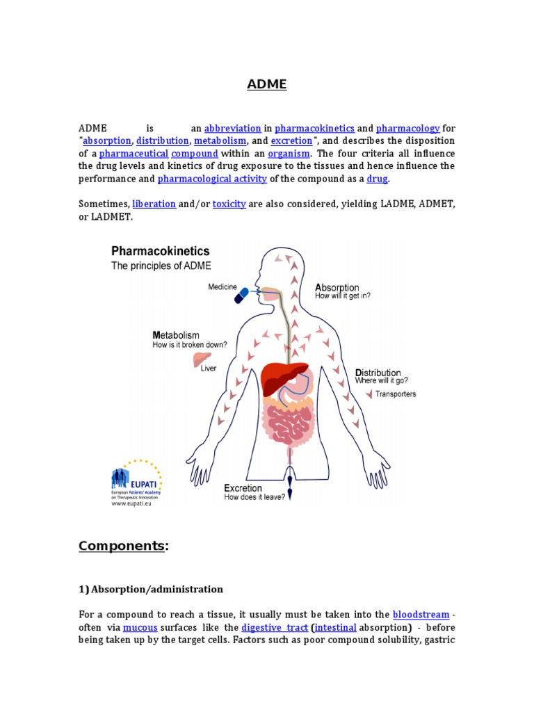 ADME | PDF | Medical Treatments | Pharmacy