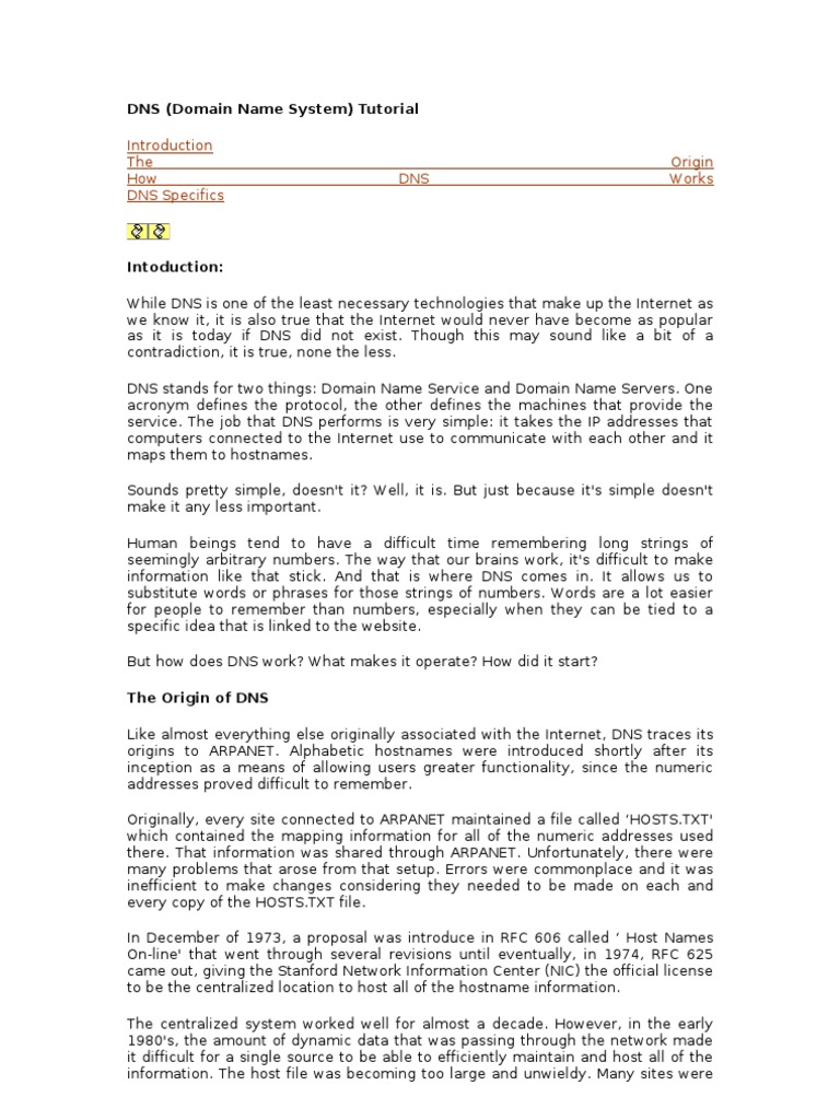 DNS Basics for Tech Enthusiasts | PDF | Domain Name | Wide Area Network