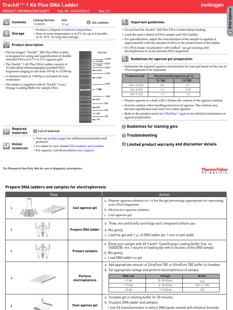 MAN0000843 trackit-1kb-plusDNAladder PI PDF | PDF | Agarose Gel Electrophoresis | Gel ...