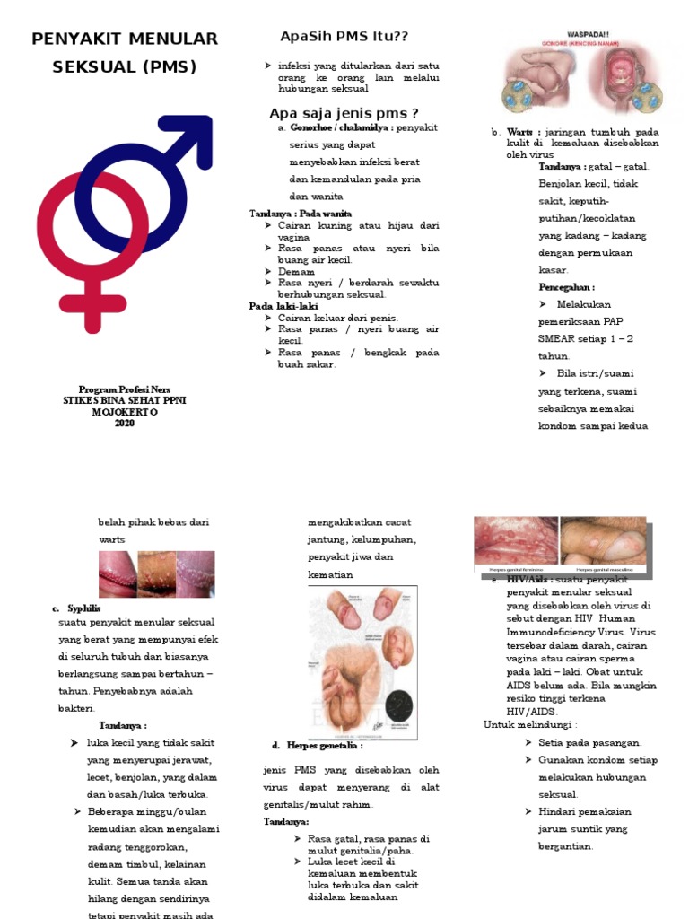 Leaflet PMS Fix | PDF
