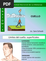 Anatomía del Cuello: Regiones y Estructuras | PDF | Piel | Cuello