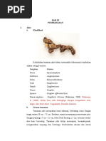 Kelompok 4 IDENTIFIKASI MAKROSKOPIS DAN MIKROSKOPIS RHIZOMA, FLOS, FRUCTUS DAN SEMEN | PDF