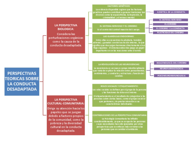 Perspectivas Teóricas Sobre La Conducta Desadaptada | PDF ...