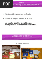 Cubos Wisc V | PDF | Cognición | Ciencia cognitiva