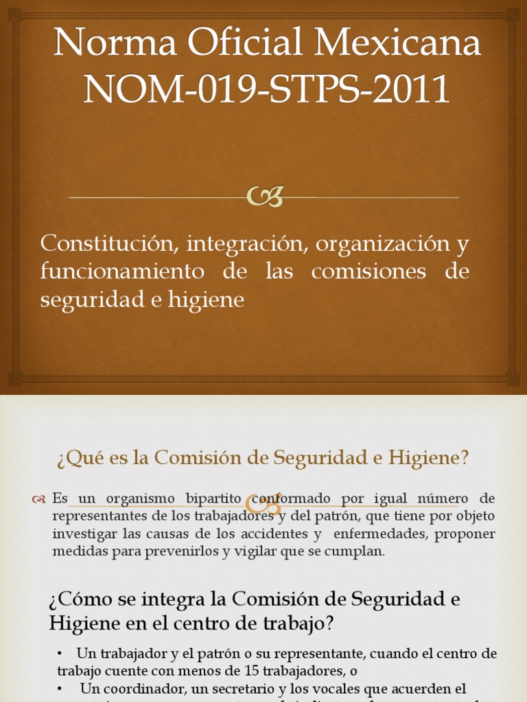 Norma Oficial Mexicana NOM 019 | Descargar gratis PDF | Sindicato | Gobierno