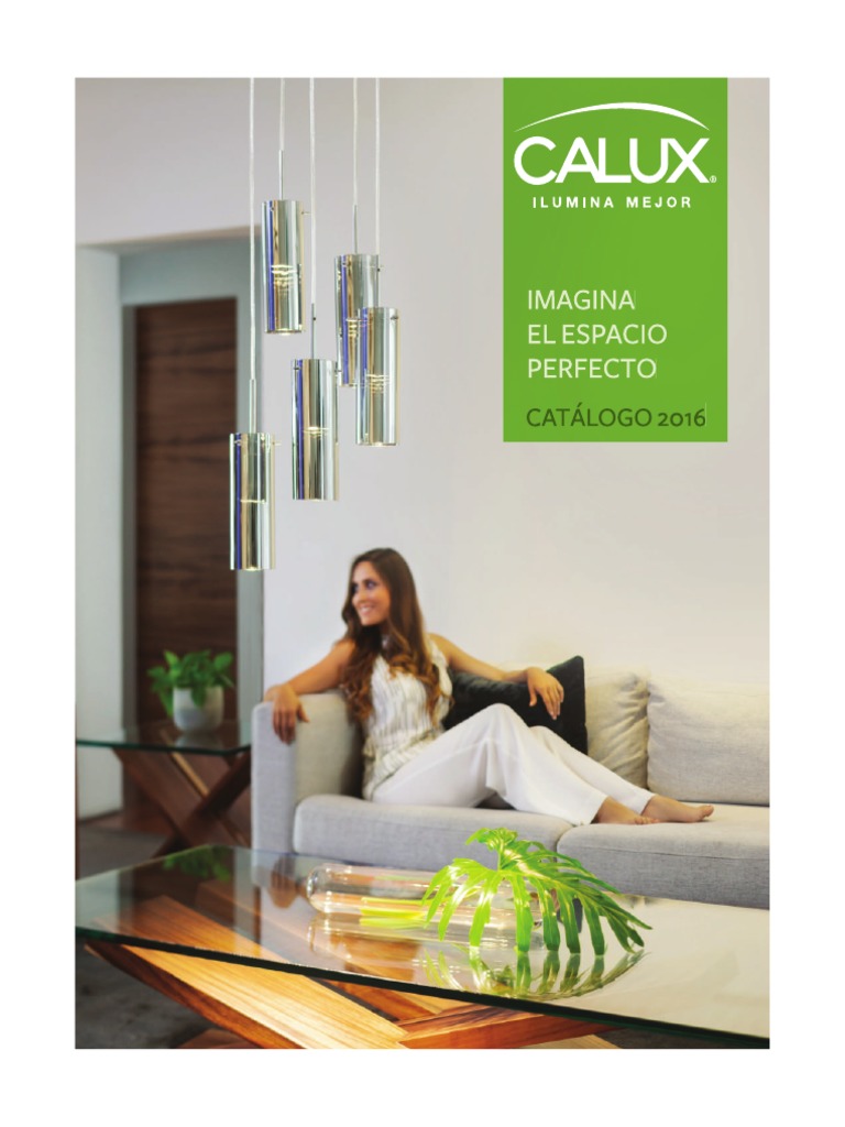 CALUX | PDF | Hierro | Conjuntos de elementos químicos