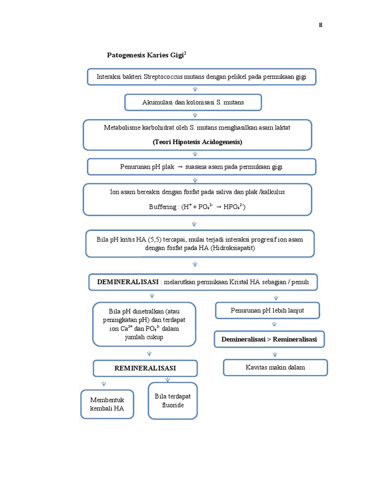 Patogenesis Karies Gigi2 | PDF