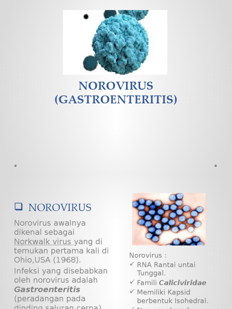 Infeksi Norovirus dan Gastroenteritis | PDF